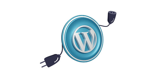 Custom WordPress Plugin Development Services | Glorywebs